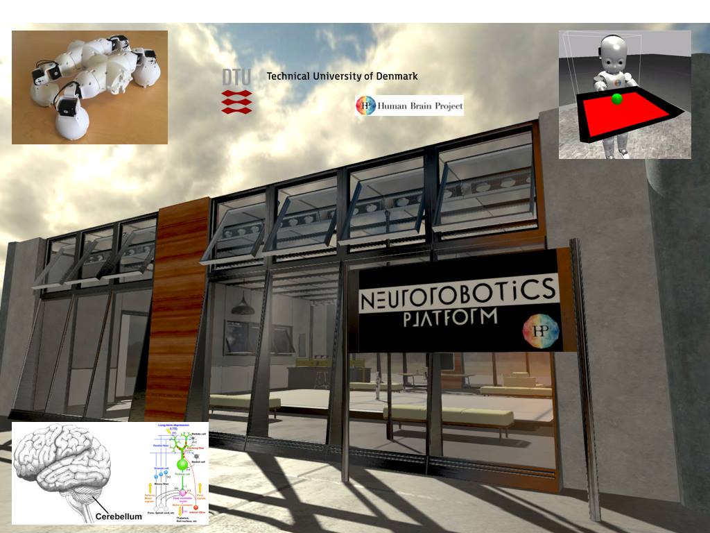 The Human Brain Project - How robotics can exploit brain science | snu.dk